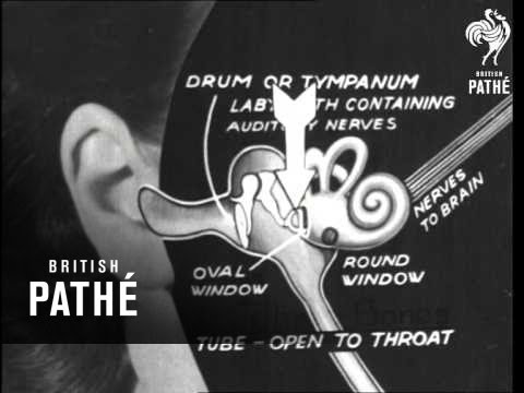 The Ear Issue Title Is That There Ear (1938)
