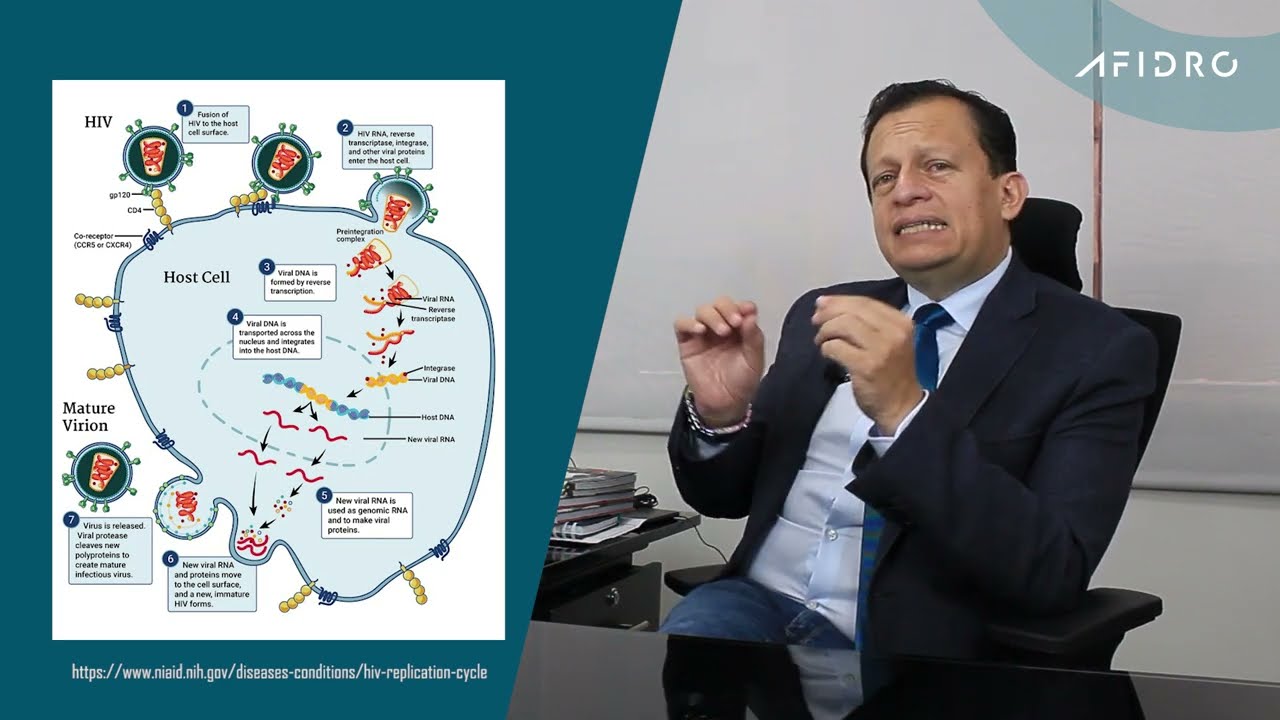 Infección por VIH: Conceptos básicos