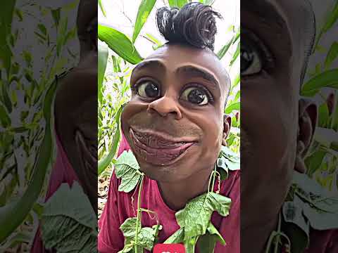 LA La LA LA #shortsvideo #funnyvideo #shorts #tranding