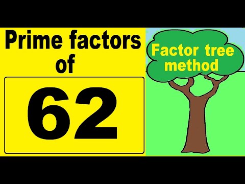 Prime factors of 62.