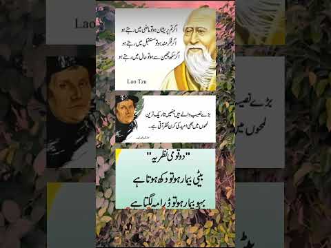 beti bimar hu to dukh bahu bemar #quotes #islamicjurisprudence #quotes #islamicjurisprudence