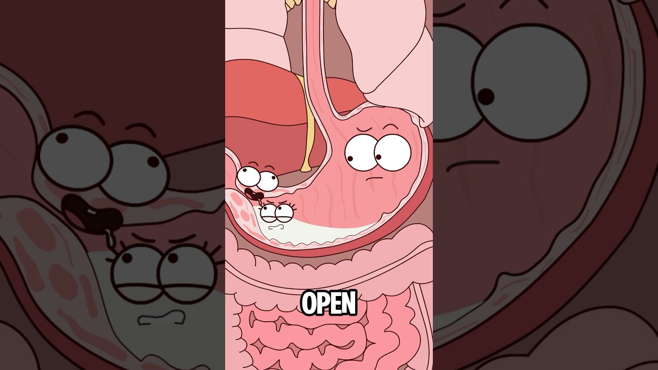 What Really Happens When You Throw Up?#animation #funny #shorts