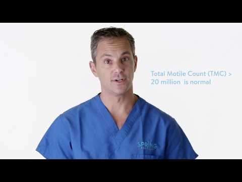 Let's chat sperm: what's motile count & what could it mean for me?