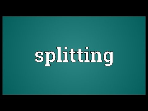 Splitting Meaning