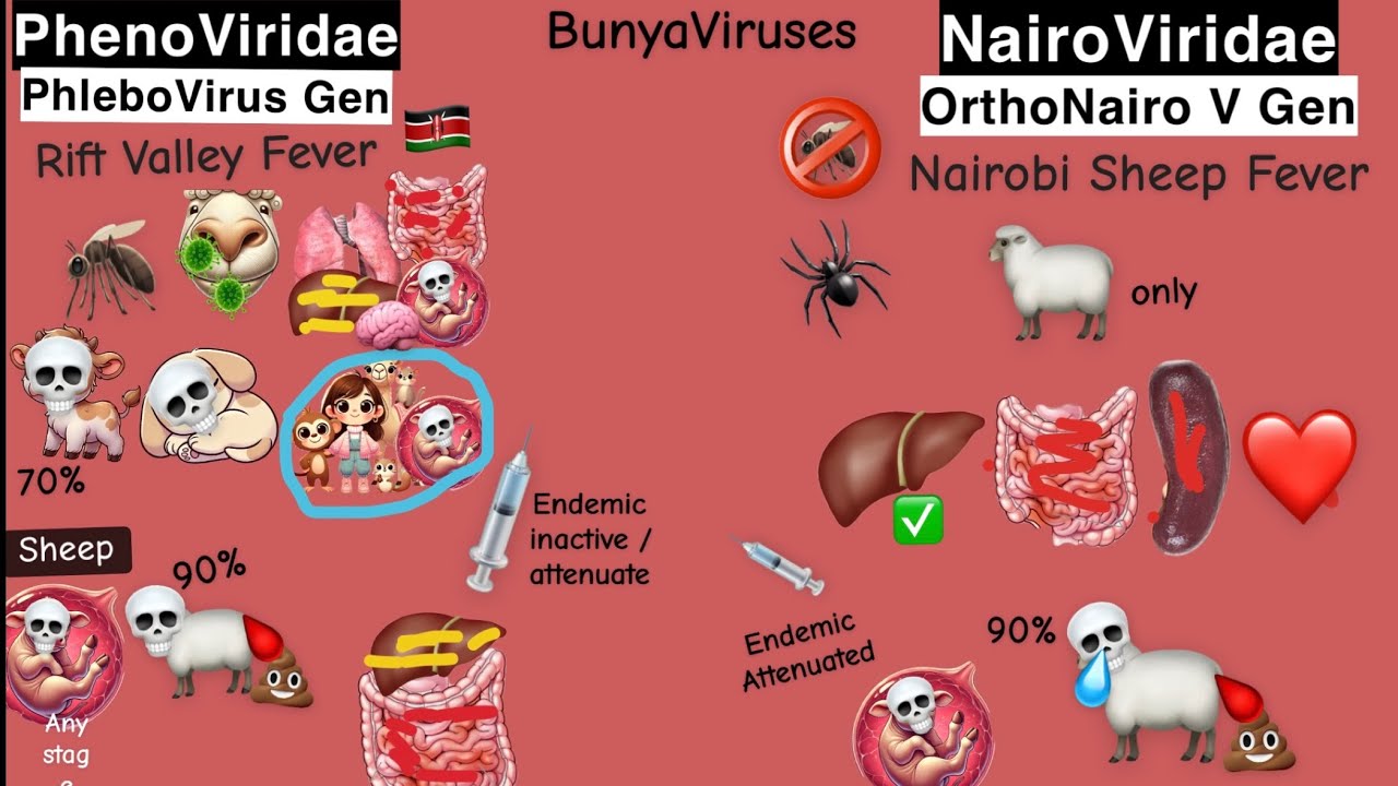 🔴Epi1: Rift Valley Fever & Nairobi Sheep Disease