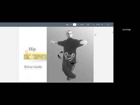 Pelvis - hips - bones, ligaments, joints