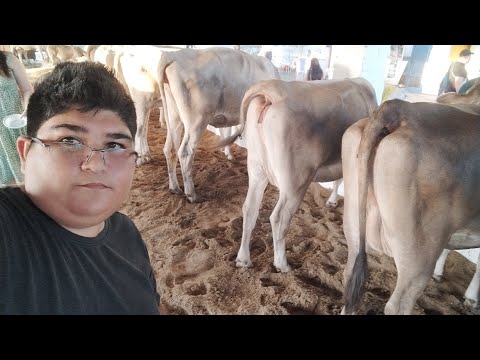 EXPOECE fortaleza, será Jersey, achei grande Dimas