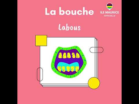 How to say "The Mouth" in Mauritian Creole (Mauritius Island)