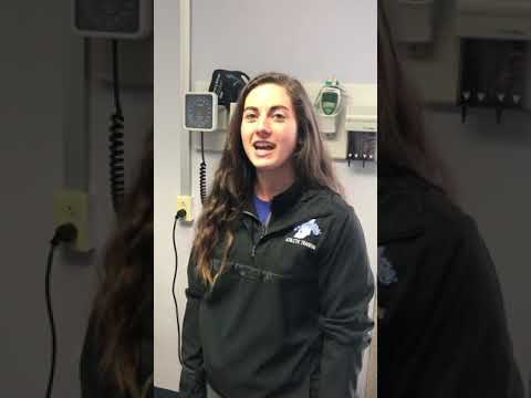 Vertebral Artery Test