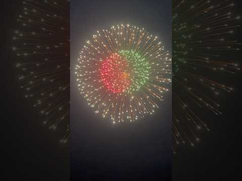 10" White Chrysanthemum w/Green & Red Double Pistil by Dancing Fireworks #displayshells #东信10寸