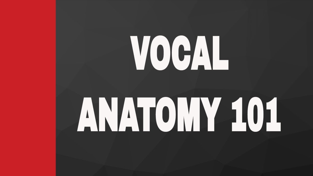 A SINGER'S VOCAL ANATOMY 101