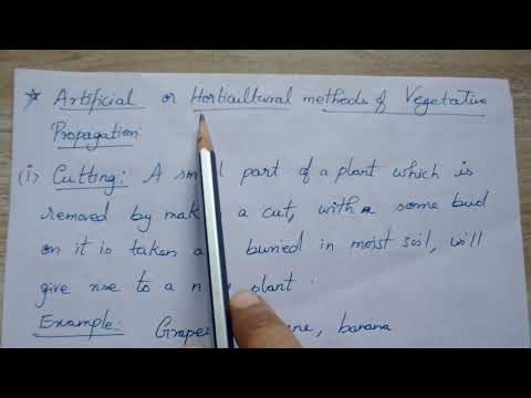 Day 32 | Biology | Class 10 | chapter 8 | Budding and Vegetative Propagation