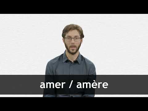 English Translation of “AMER” | Collins French-English Dictionary