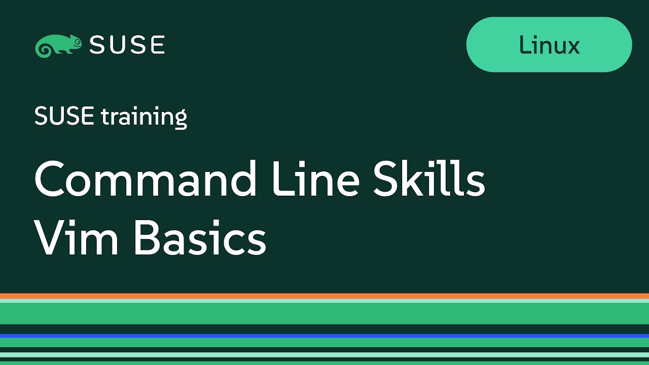 Command Line Skills: Vim Basics