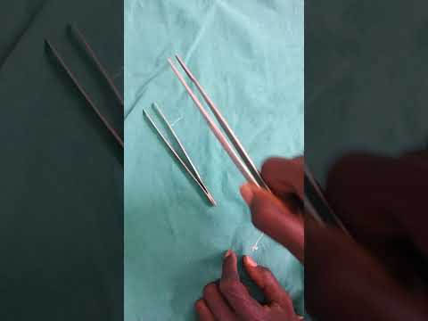 disecting forceps