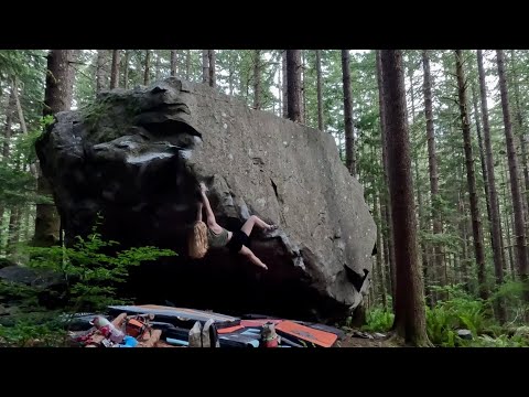 Golden Power Shower V7 | North Bend (Middle Fork), WA