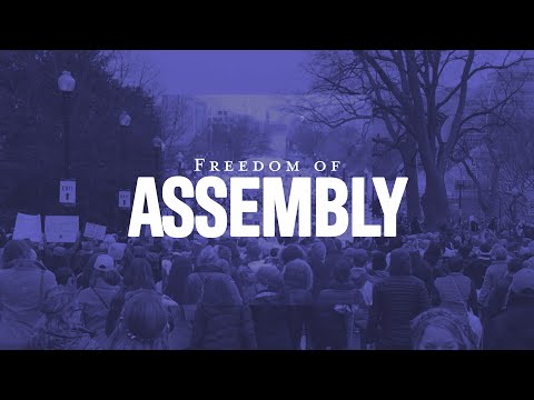 1 for All Campaign | Freedom of Assembly