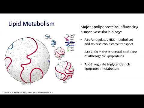 "APOE Gene Locus in Healthy Aging: from 1D Genetics to 3D Genomics" by Chang-En Yu