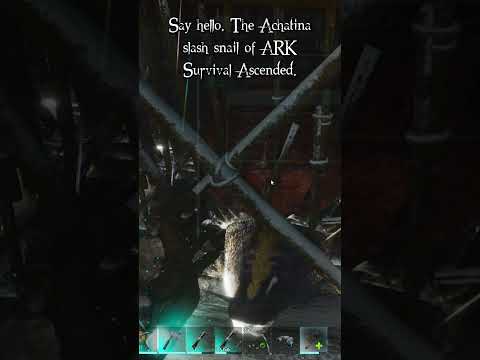 Steam Community :: Video :: ARK's Secret Poly Fridge - ARK: Survival ...