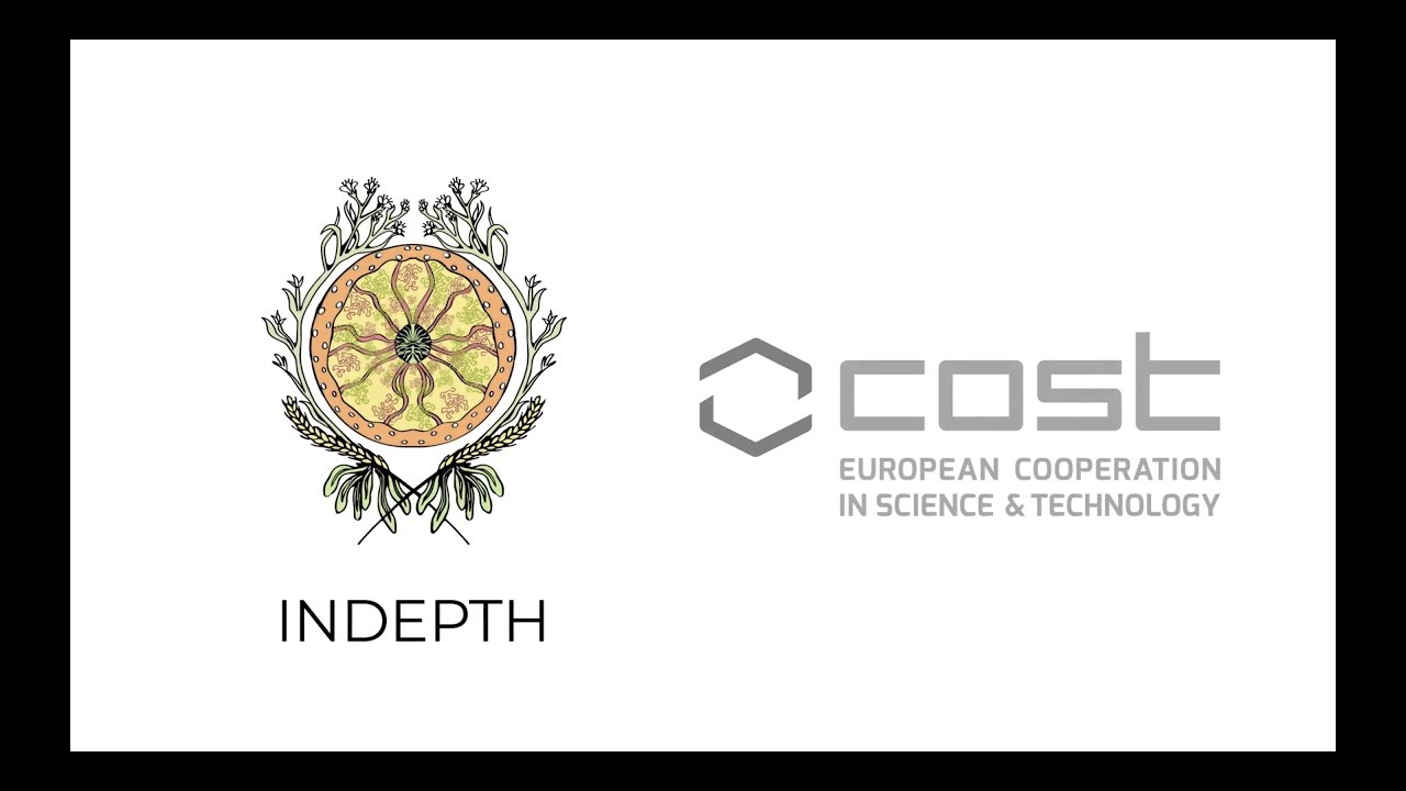 Introducing Cost Action CA16212 INDEPTH