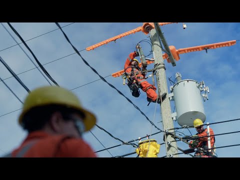 Distribution line worker