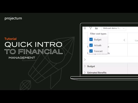 Quick introduction to financial management in Power PPM