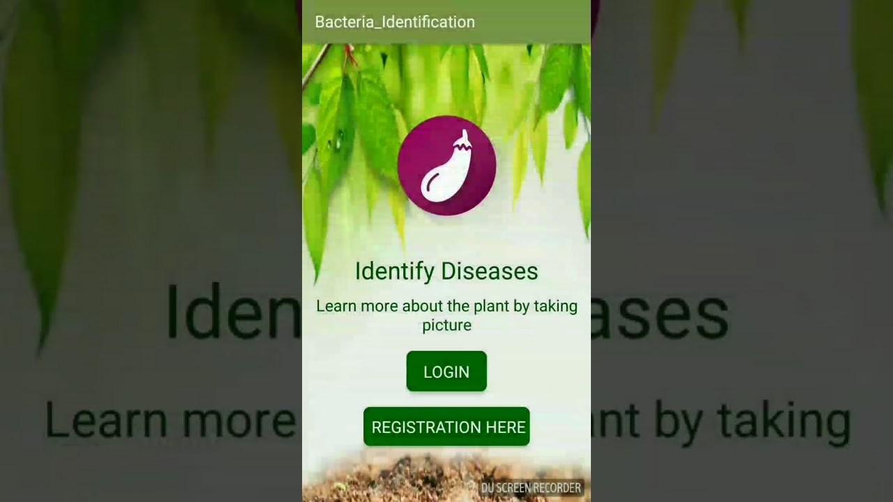 Bacteria identification using image processing