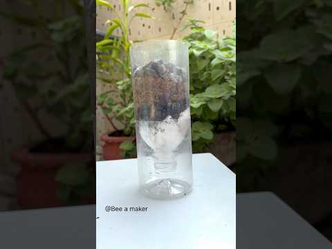 Water filter science activity for kids#scienceproject #scienceactivity
