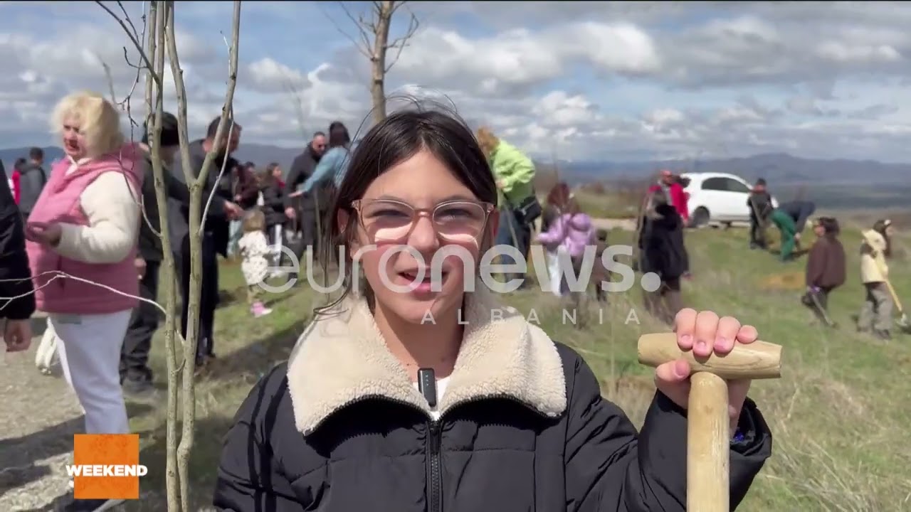 Dhjetëra fëmijë mbjellin pemë, synohet rikthimi i kurorës së gjelbër