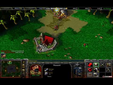 Warcraft3 CHEATS