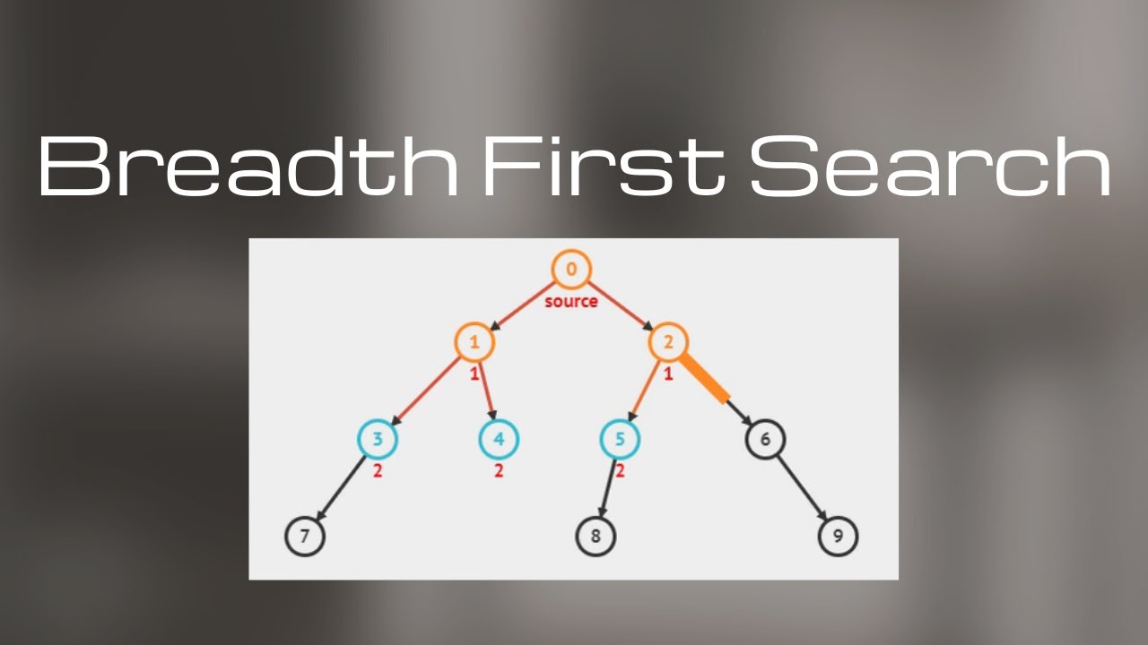 Algorithm series | Decrease and conquer #3 | Breadth First Search | Scholarly things