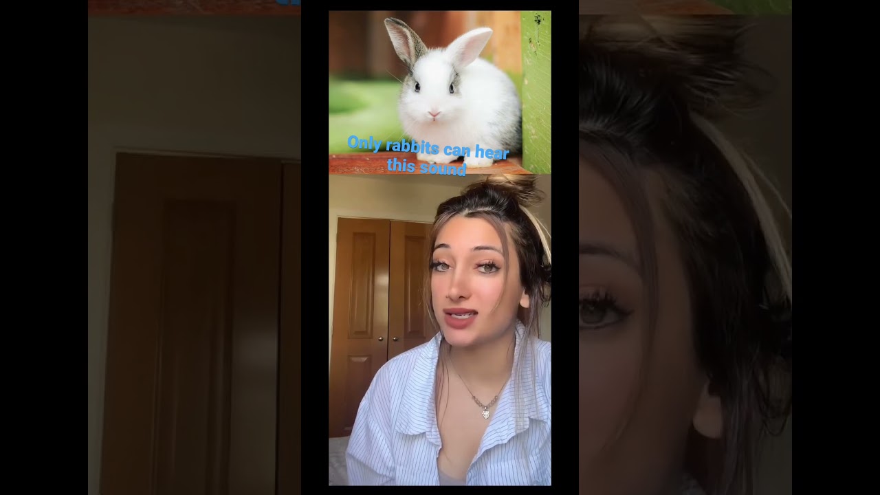 OMG only rabbits hear this sound! 🐇 You need to try this! 😱
