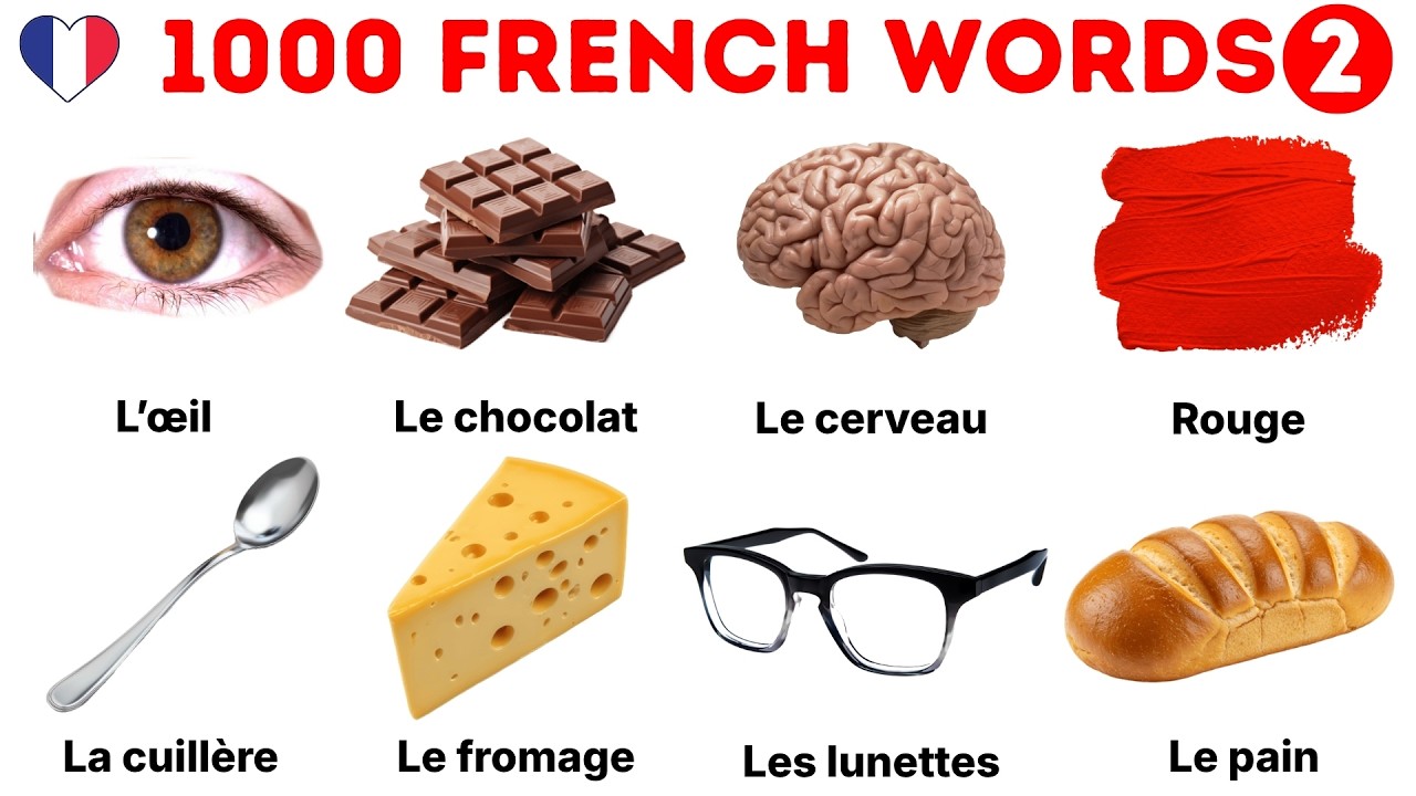1000 French Words | Learn Basic French Words | French Vocabulary | Learn French For Beginners