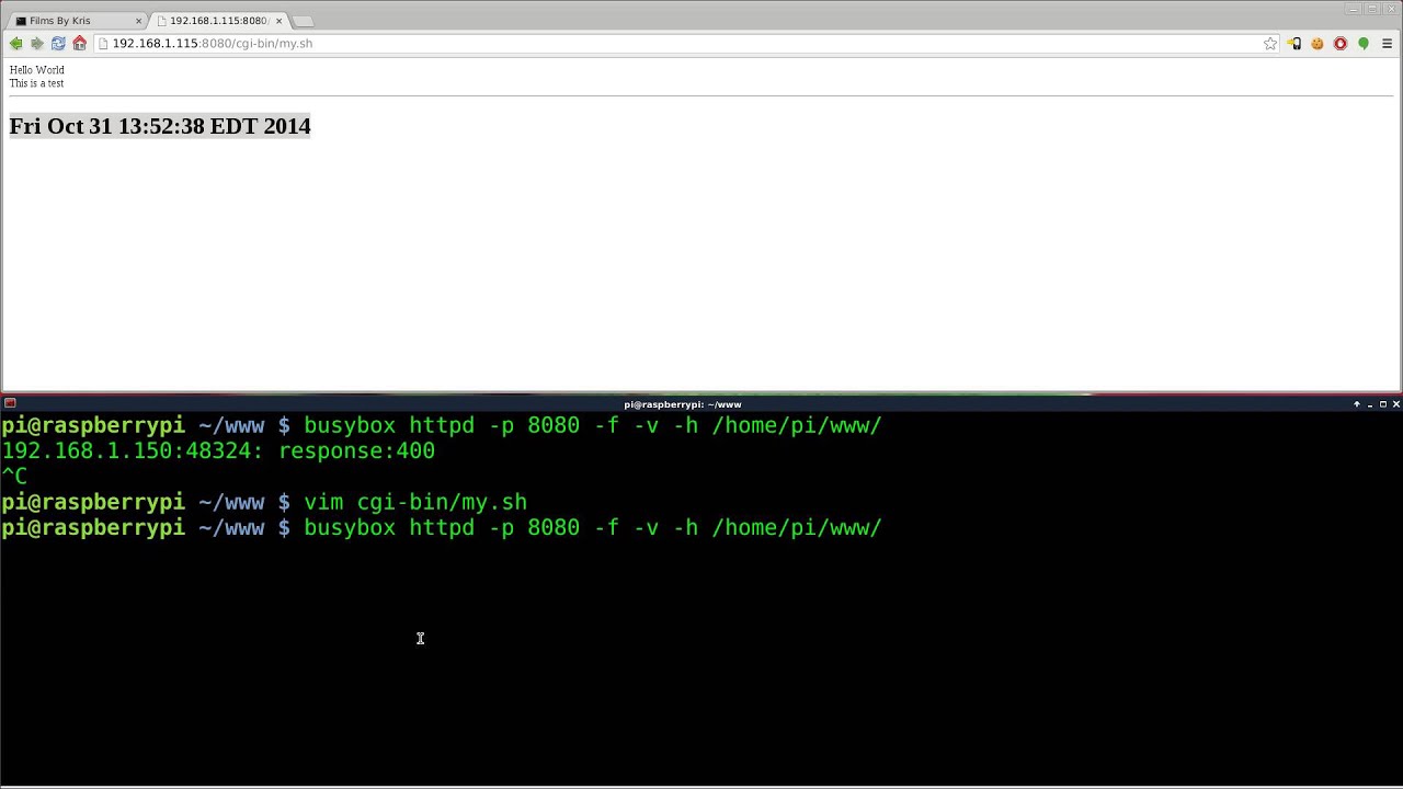 httpd Busybox Server Side Scripts CGI BASH Linux Web Server Tutorial #2