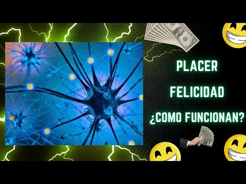 ¿FELICIDAD INSTANTANEA? - Las ENDORFINAS, Aprende a ESTIMULARLAS