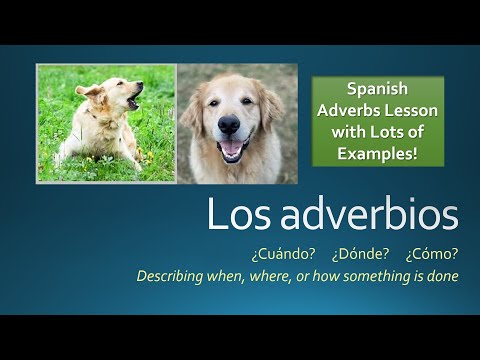 Spanish Adverbs Lesson with Lots of Examples