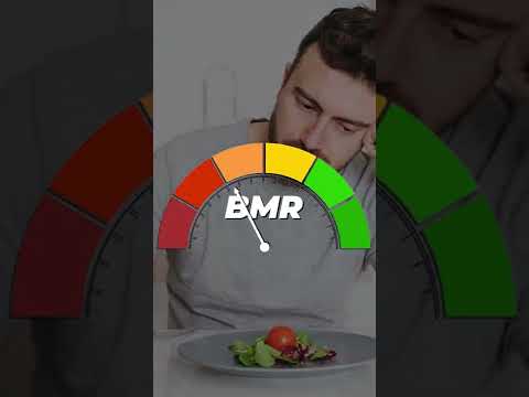Our Basal Metabolic Rate (BMR)