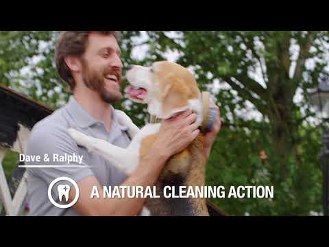 See the difference DENTALIFE made for these dog owners.