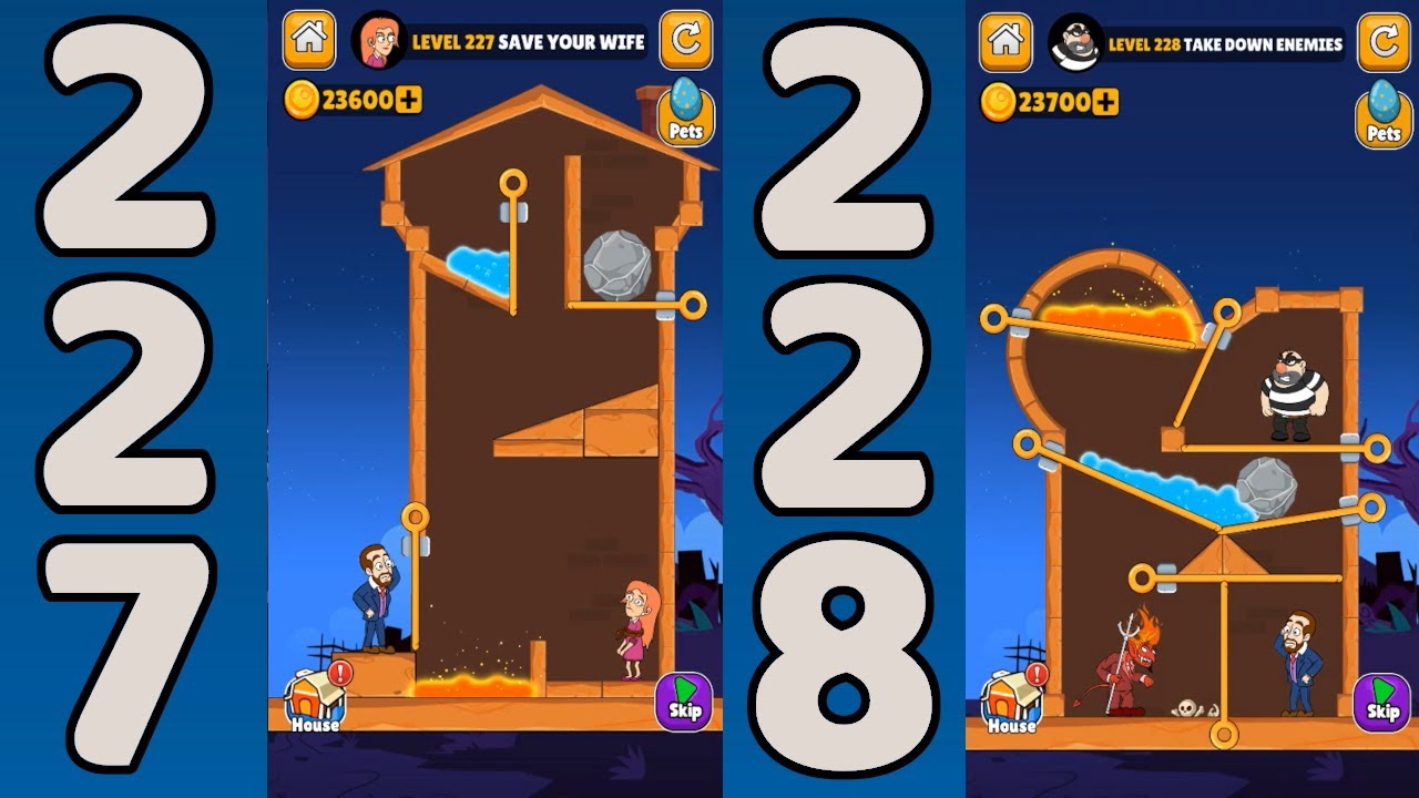 Home Pin Level 227 & 228