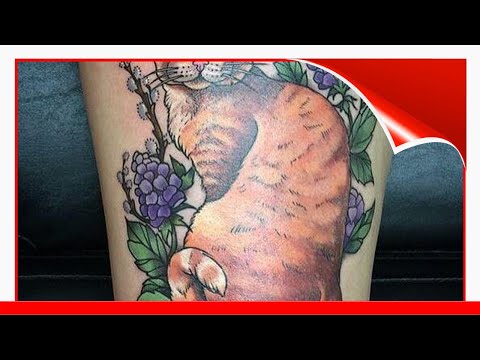 50+ Watercolor Cat Tattoos Ideas & Designs (2020) !