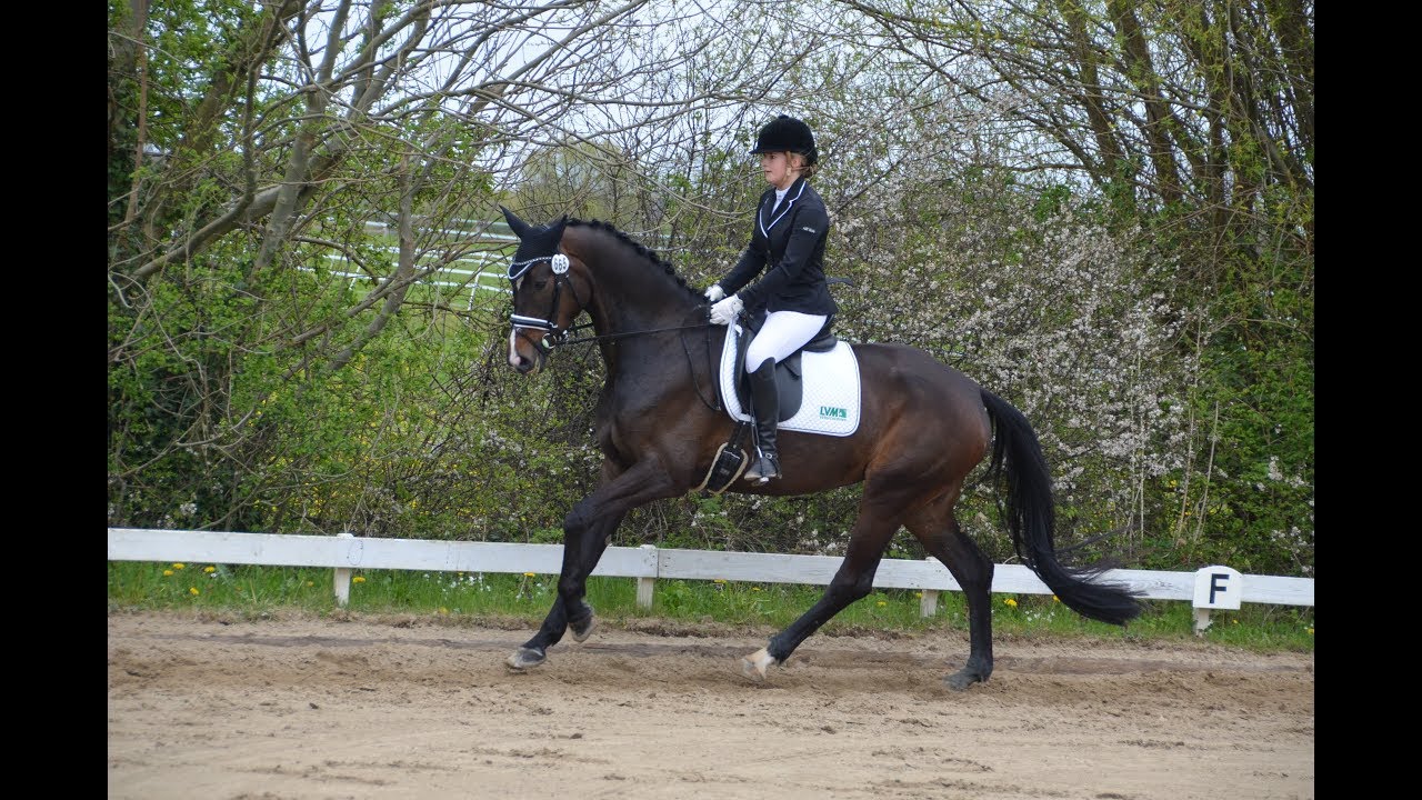 OUR DEVELOPMENT - One Year