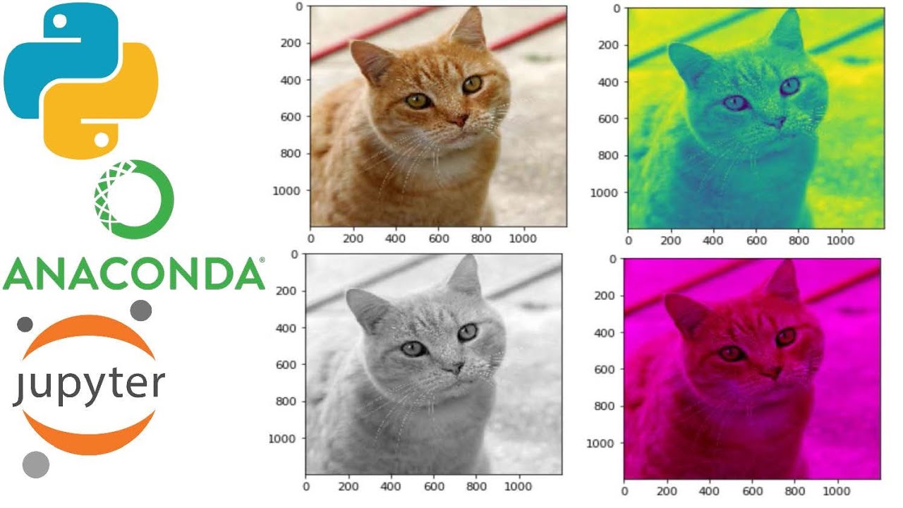 Image Processing using python with Jupyter lab   3