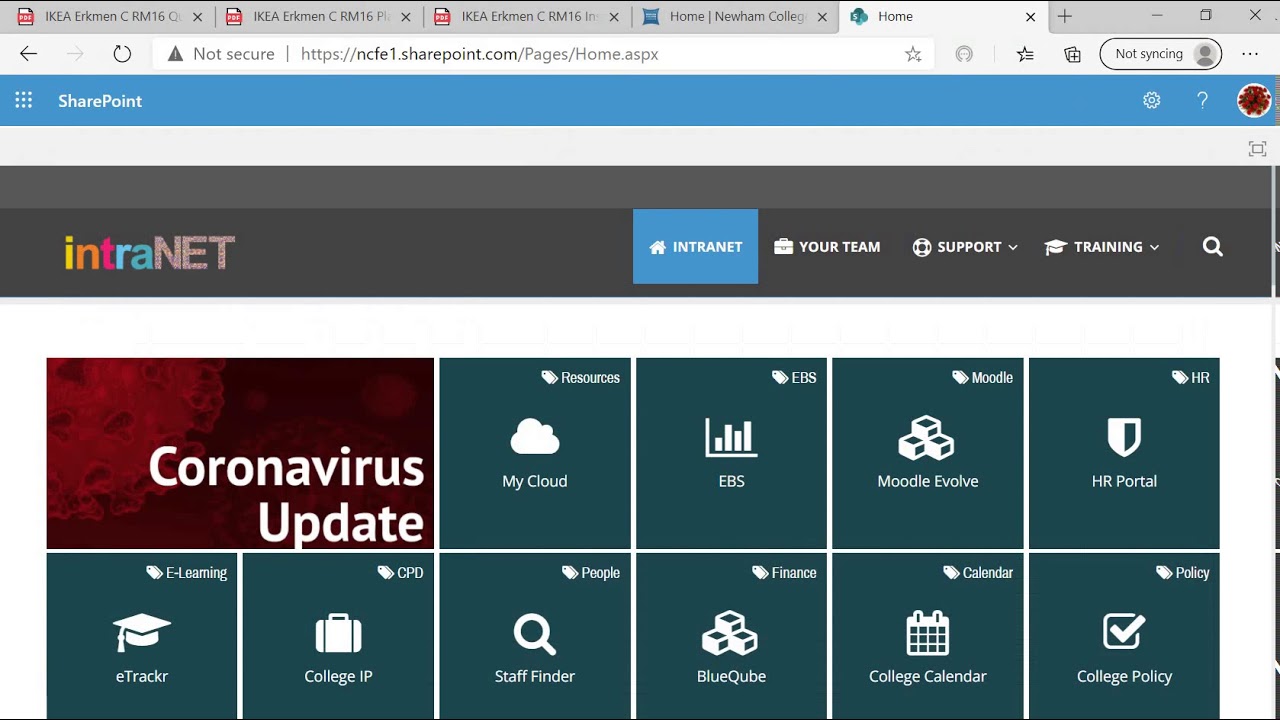 Spreadsheet Software - Week 1
