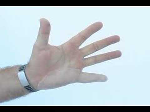Artificial Fingers - Prosthetic Fingers Latest Price, Manufacturers ...