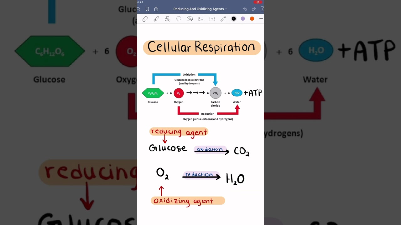 How to Identify Reducing and Oxidizing Agents #shorts