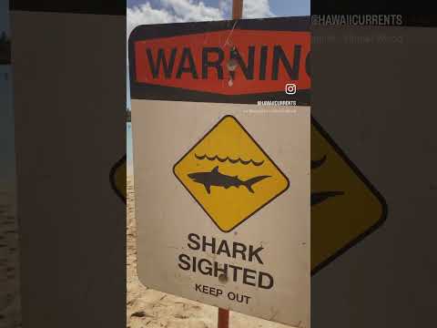If there was a "SHARK SIGHTED" red flag warning sign, would you go swimming...?