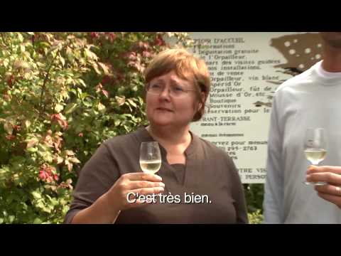 La route des vins de Brome-Missisquoi - Canton-de-l'est, Québec, Canada