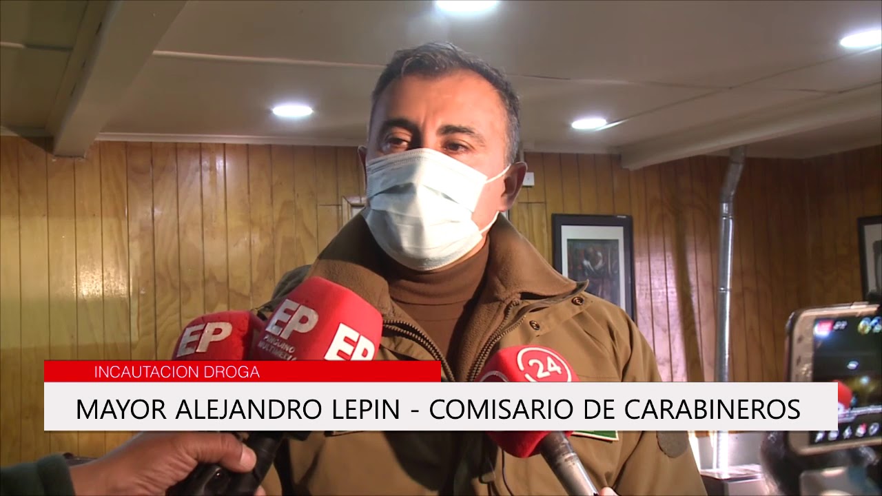 Incautación de 154 plantas y 300 gramos de cocaína termina con 3 personas en la cárcel