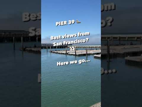 BEST Views of SAN FRANCISCO? 😎PIER 39🦭