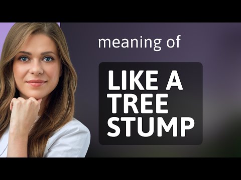 Understanding "Like a Tree Stump" in English